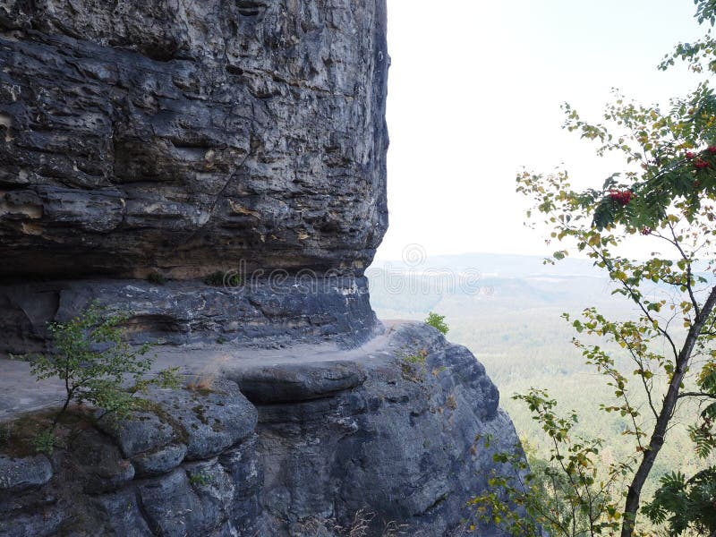 Rock, Wilderness, Tree, Escarpment Stock Image - Image of formation ...