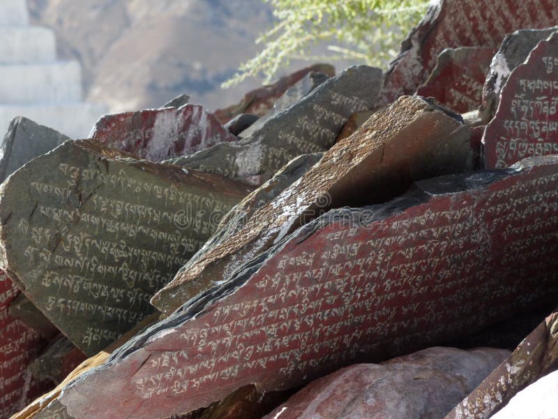 Rock, Wood, Geology, Animal Source Foods Stock Photo - Image of wood ...