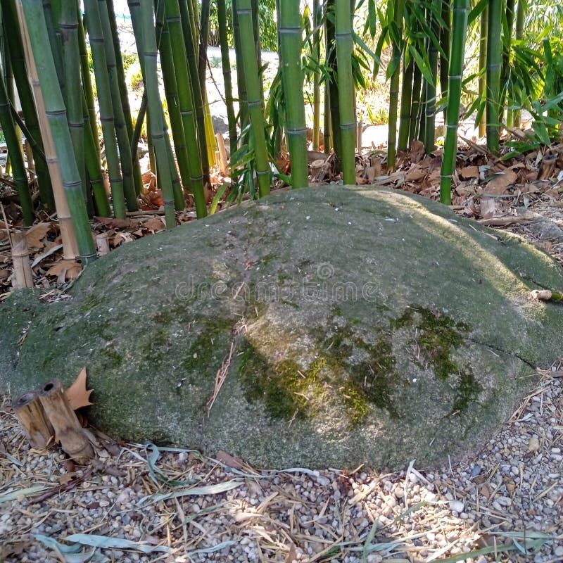 Rockery, Garden with Stones and Rocks Stock Image - Image of stones ...