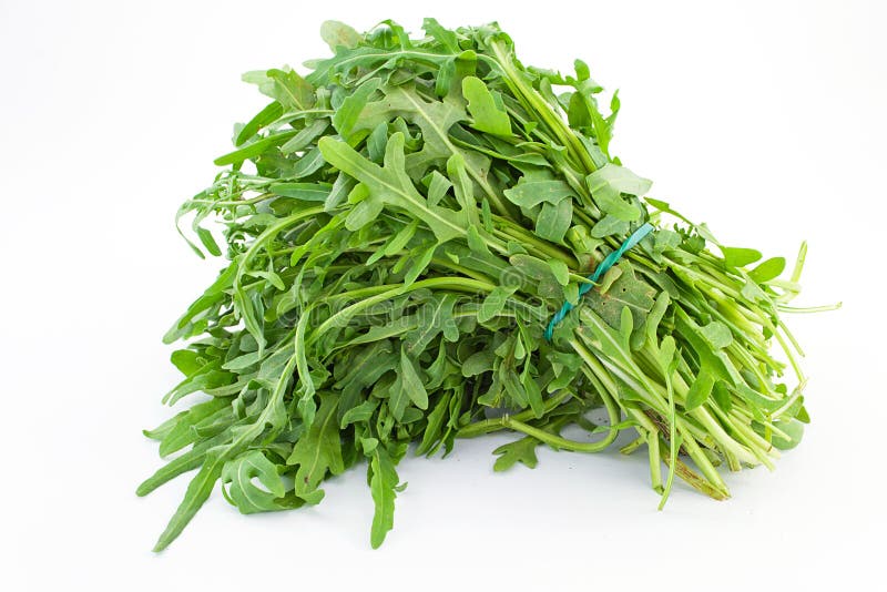 Rocket stock photo. Image of fresh, rocket, parmesan - 24667004