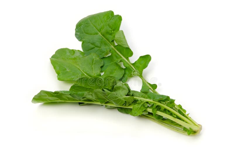 Rocket stock image. Image of vegetable, fresh, rocket - 24976435