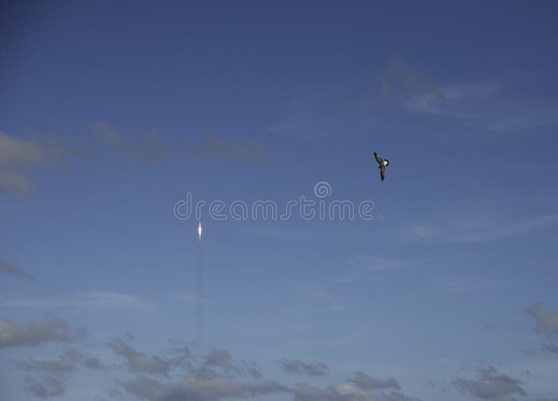 Rocket Launch of Delta Heavy Stock Photo - Image of titusville, clouds ...
