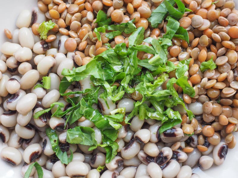 Rocket salad stock photo. Image of vegetables, beans - 47554800