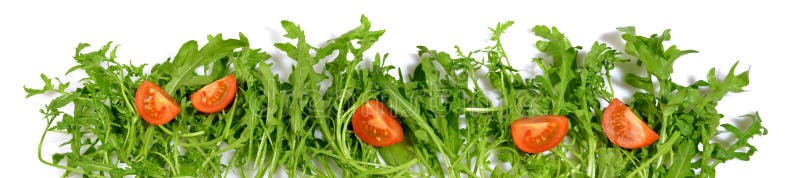 Rocket Salad with Tomatoes Panorama Isolated on White Background Stock ...