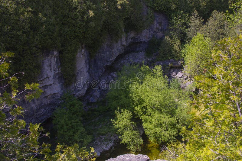 Rockface of the Elora Gorge Stock Photo - Image of flower, grass: 279731994
