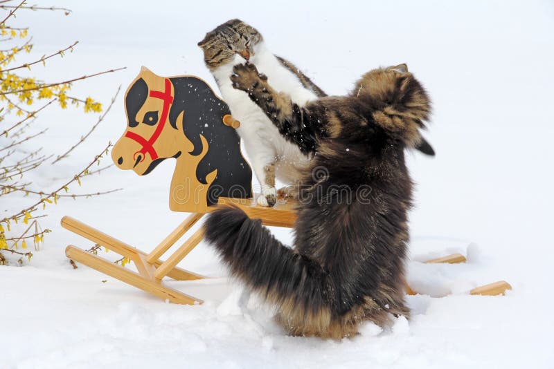 Rocking horse stock photo. Image of curiosity, norwegians - 39245236