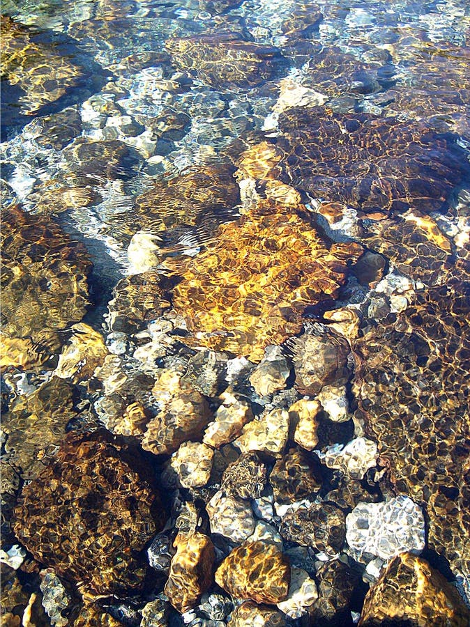 Rockpool stock photo. Image of brown, australia, clear - 151866