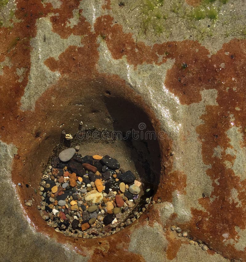 Rockpool collection stock photo. Image of light, flat - 79229580