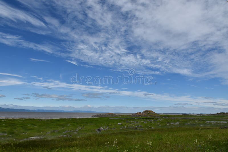 Rocks Along the St. Lawrence River Stock Image - Image of butterfly ...