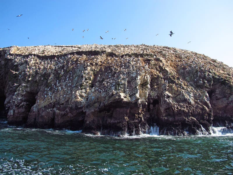 Rocks with Animals in the Pacific Ocean, Paracas, Peru Stock Image ...