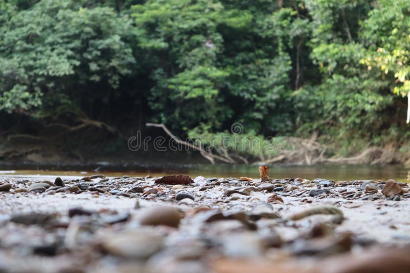 Rocks around the river stock photo. Image of river, water - 279529026