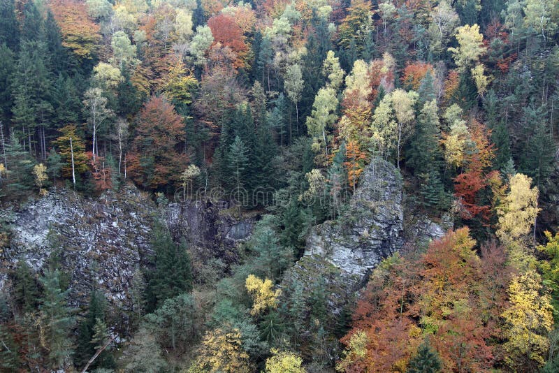 Rocks in autumn forest stock image. Image of park, forest - 124754403