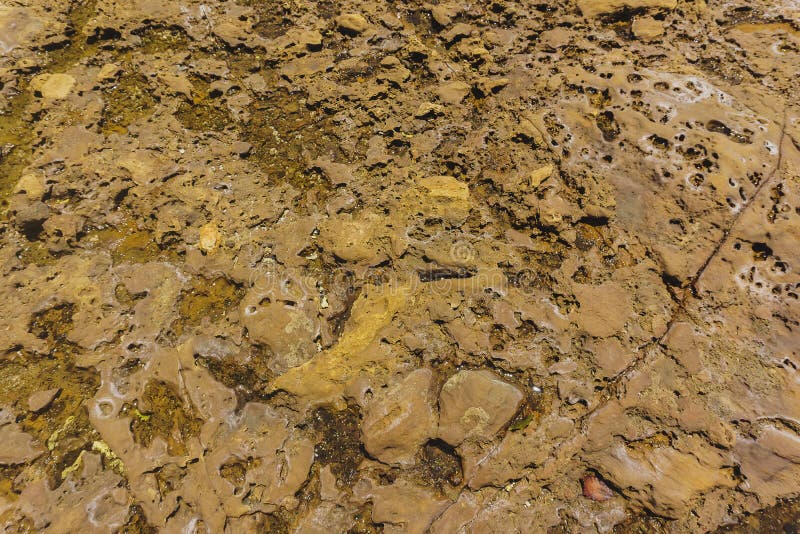 Rocks stock image. Image of brown, texture, rock, panama - 99852203