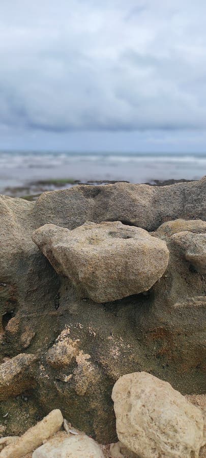 Rocks barrier on the beach stock photo. Image of wall - 213221972