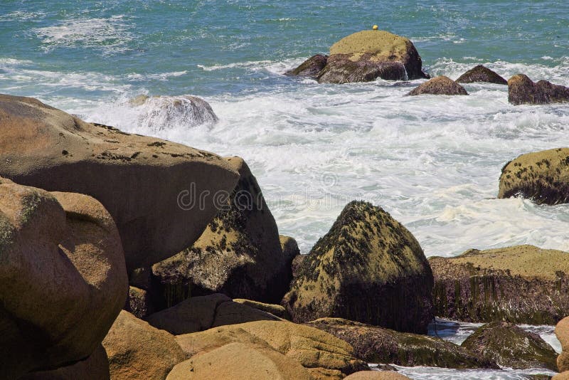 Rocks on the beach stock photo. Image of water, summer - 205830180