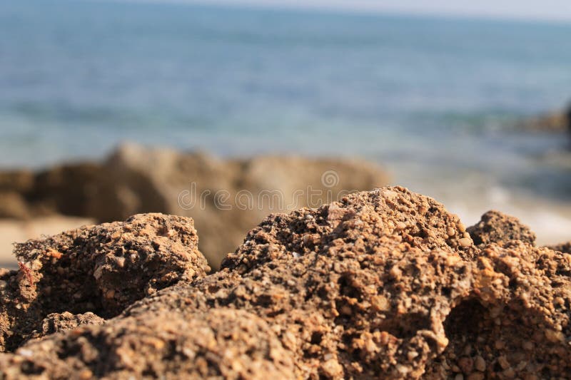 Rocks beach Arabian sea stock image. Image of wood, arabian - 252376841