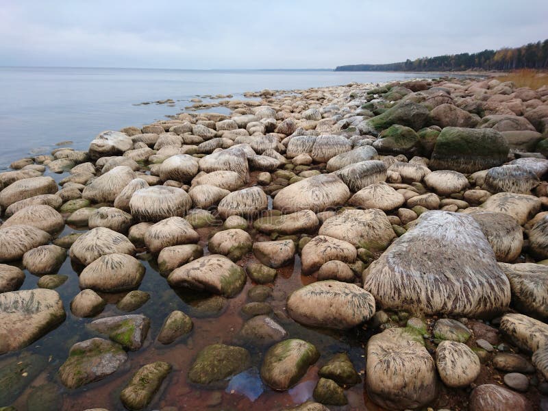 Rocks on the beach stock photo. Image of baltics, level - 79895004