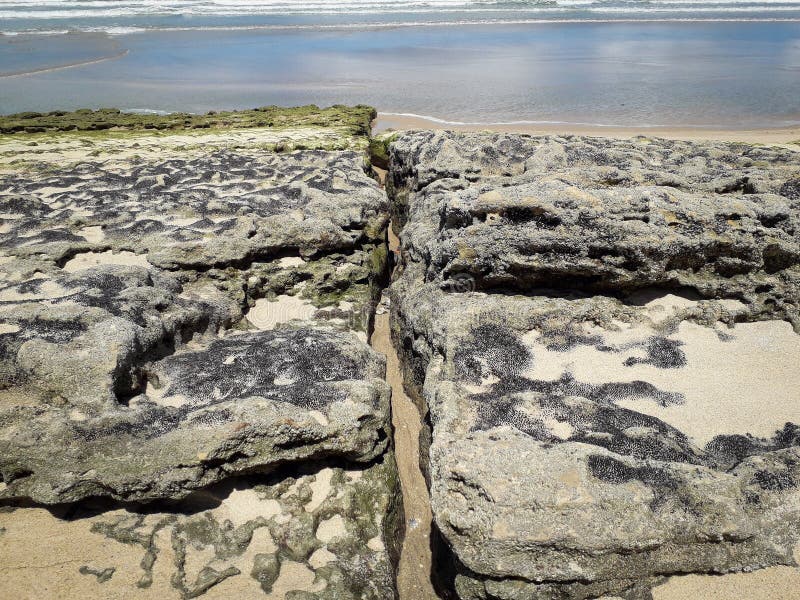 Rocks at the Beach of Pernambuco, Brazil Stock Photo - Image of orange ...