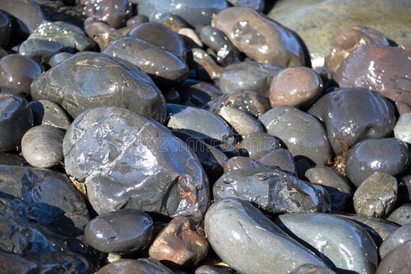 Rocks on beach stock photo. Image of shape, rounded, natural - 32904482