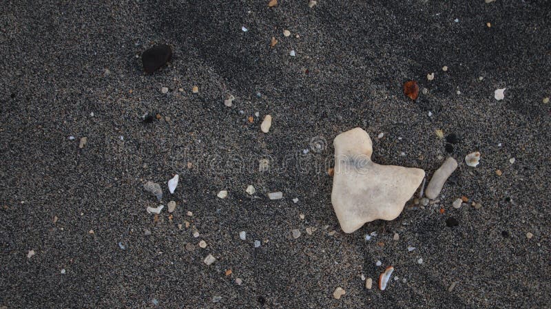 The Rocks on the Beach Sand are Gray in the Morning, with less Light ...