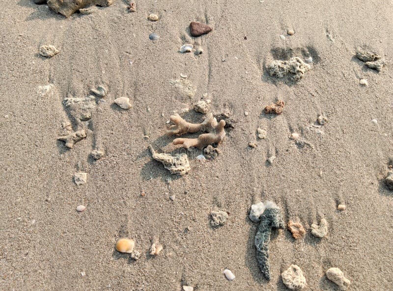 Rocks on the Beach Sand. Top View. Flat Lay Stock Photo - Image of ...