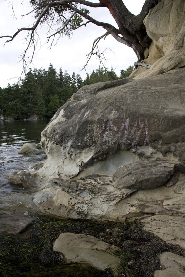 Rocks and trees stock image. Image of rocks, park, white - 33021761