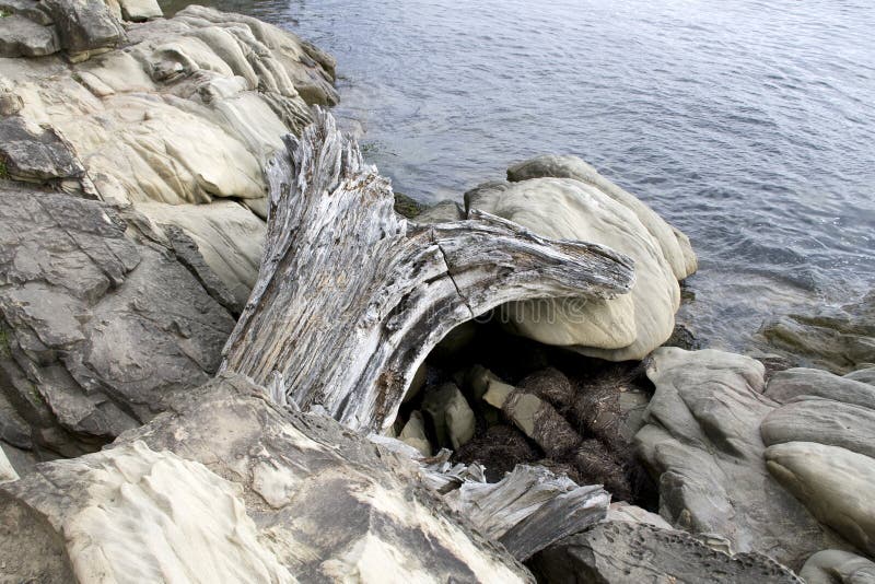 Rocks and trees stock image. Image of rocks, park, white - 33021761