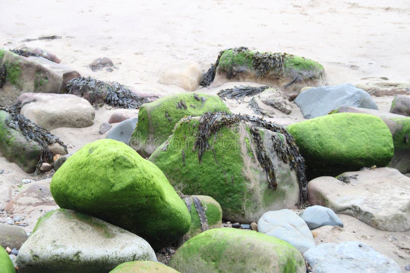 Rocks on beach stock photo. Image of steps, coast, whitby - 43606210