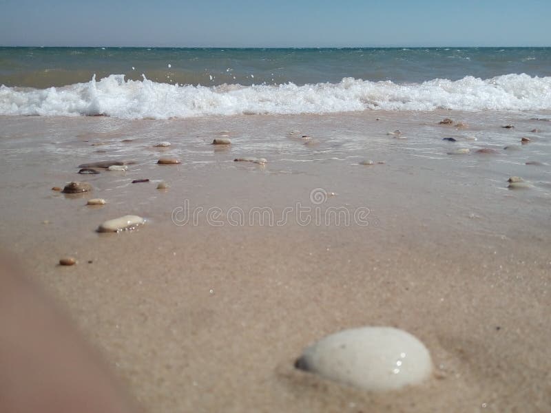 Rocks beach stock photo. Image of rocks, tide, shore - 88558684