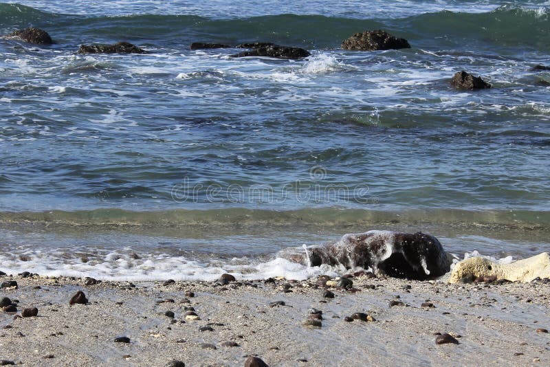 Rocks Being Hit by the Waves on the Beach Stock Image - Image of ...