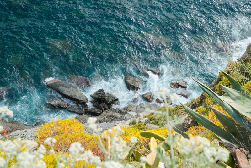 Rocks Below at Bottom of Rocky Plant Covered Cliff Stock Photo - Image ...