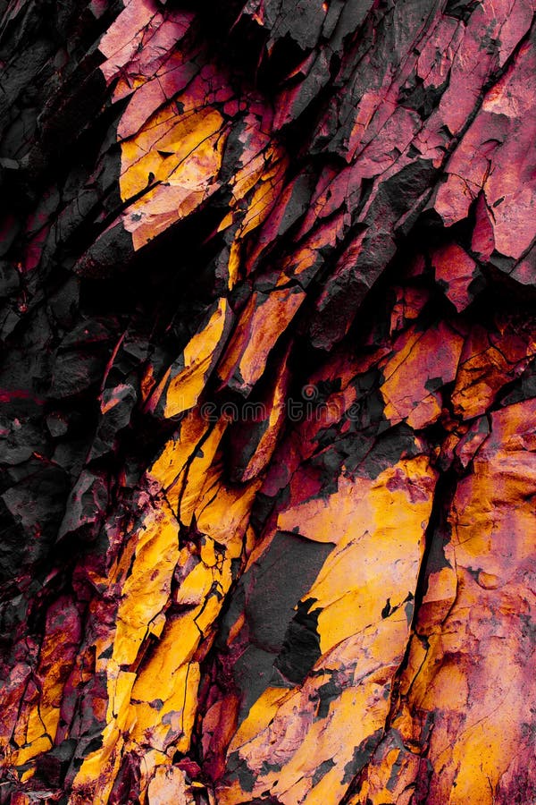 Red Rock Structure and Cactus in Valley of Fire, Nevada, USA Stock ...