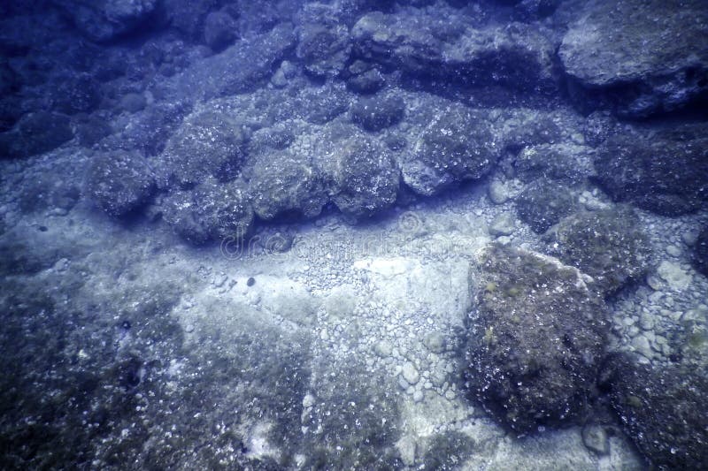 Rocks at Bottom of Ocean Floor Stock Image - Image of explore, aquatic ...