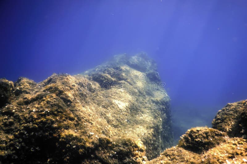 Rocks at Bottom of Ocean Floor Stock Image - Image of scuba, adventure ...