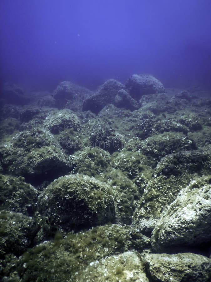 Rocks at Bottom of Ocean Floor Stock Photo - Image of undercurrents ...