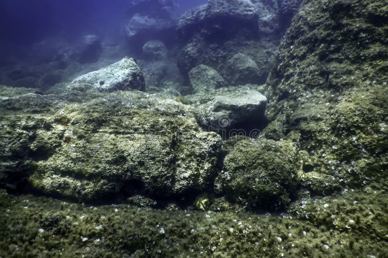 Rocks at Bottom of Ocean Floor Stock Image - Image of ecology ...