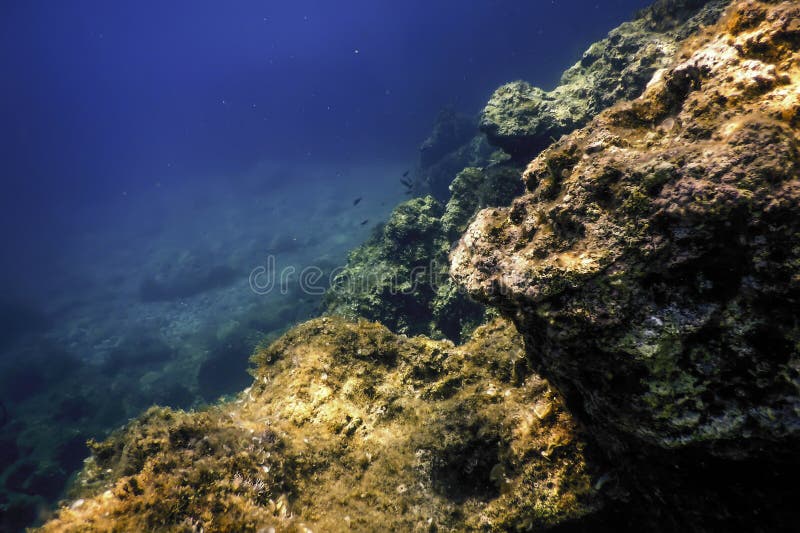 Rocks at Bottom of Ocean Floor Stock Photo - Image of underwater, rocks ...