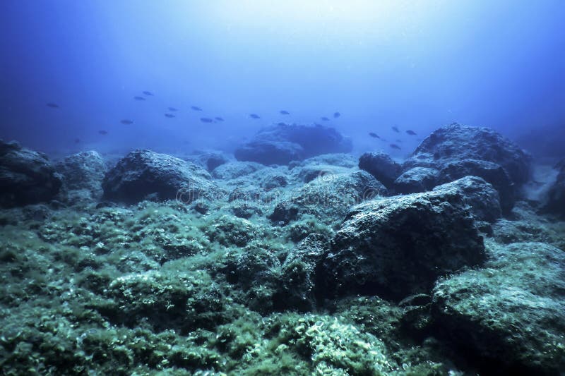 Rocks at Bottom of Ocean Floor Stock Photo - Image of explore, ocean ...