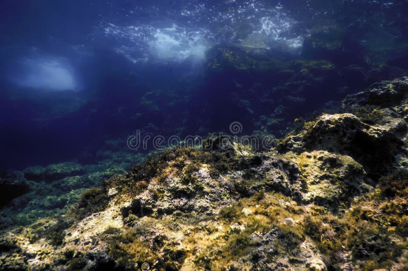 Rocks at Bottom of Ocean Floor Stock Photo - Image of submerged, dive ...