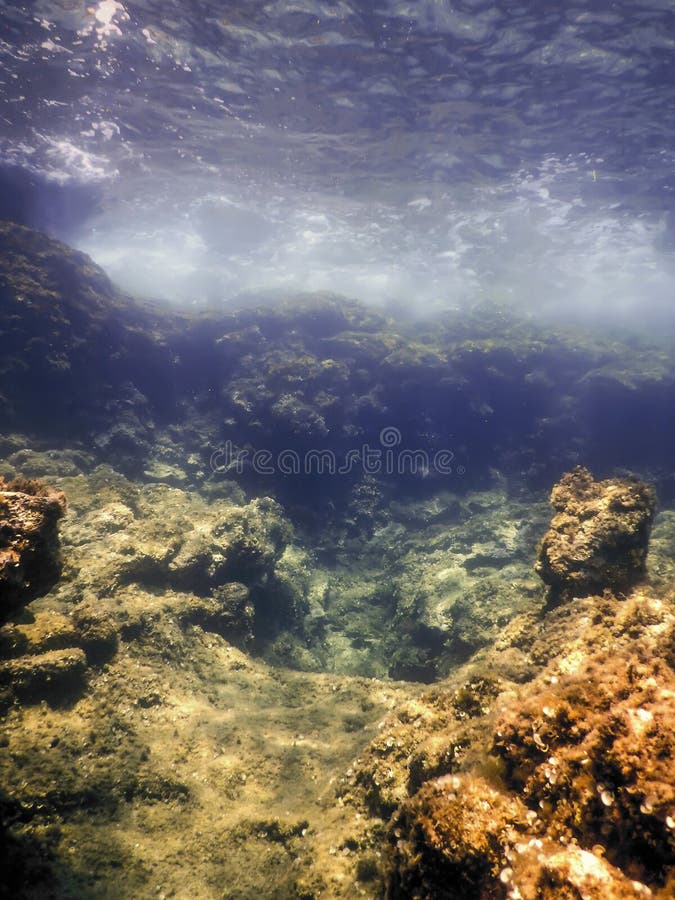 Rocks at Bottom of Ocean Floor Stock Image - Image of undersea, nature ...