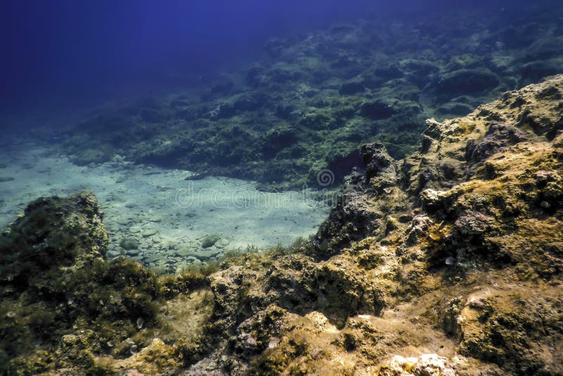 Rocks at Bottom of Ocean Floor Stock Photo - Image of seashore ...