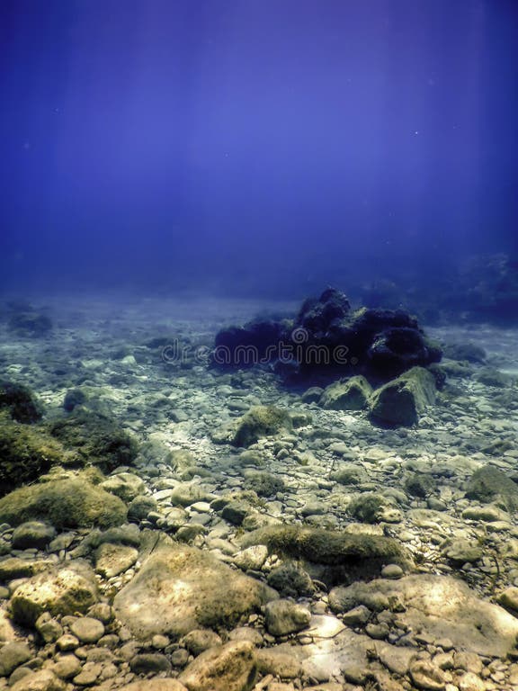 Rocks at Bottom of Ocean Floor Stock Photo - Image of seafloor ...