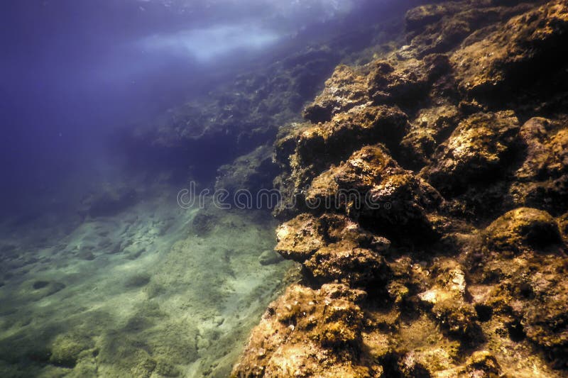 Rocks at Bottom of Ocean Floor Stock Image - Image of breathtaking ...
