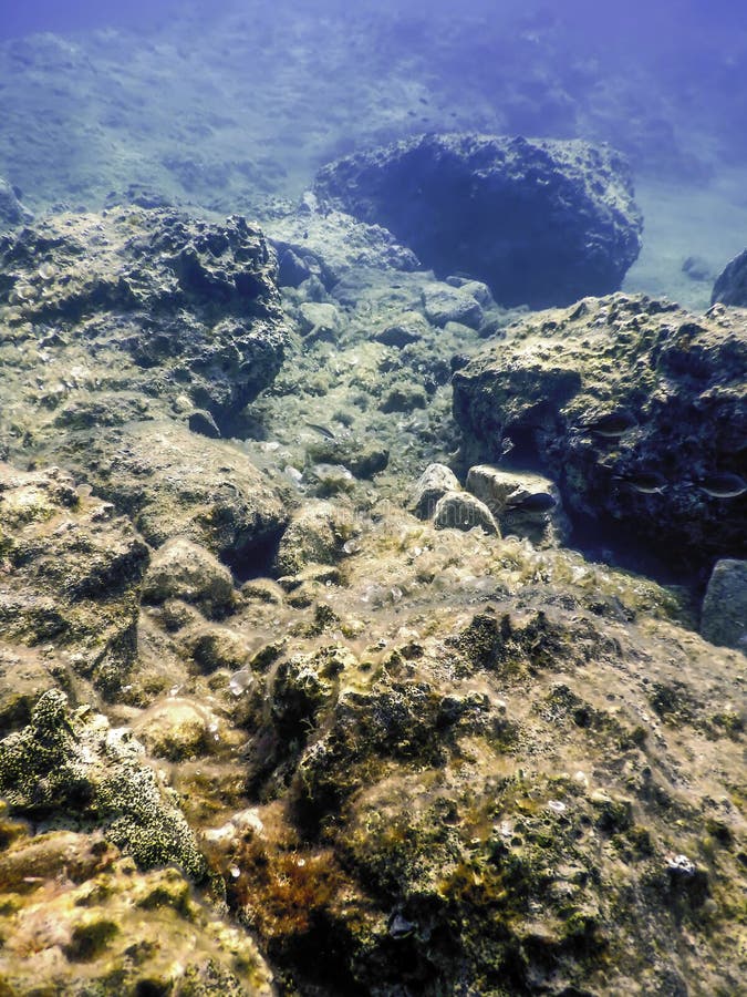 Rocks at Bottom of Ocean Floor Stock Photo - Image of dive, ocean ...
