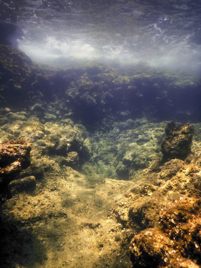 Rocks at Bottom of Ocean Floor Stock Illustration - Illustration of ...