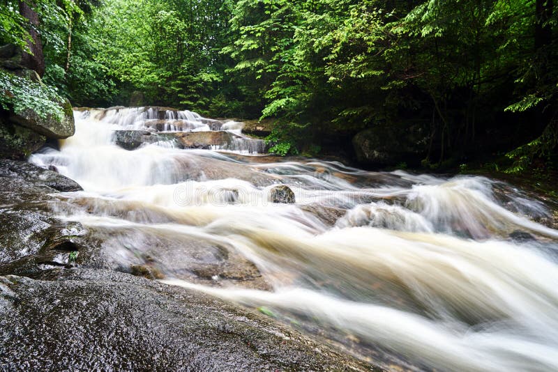 Rocks and Boulders in the Mountain Stream in the Forest in the Giant ...