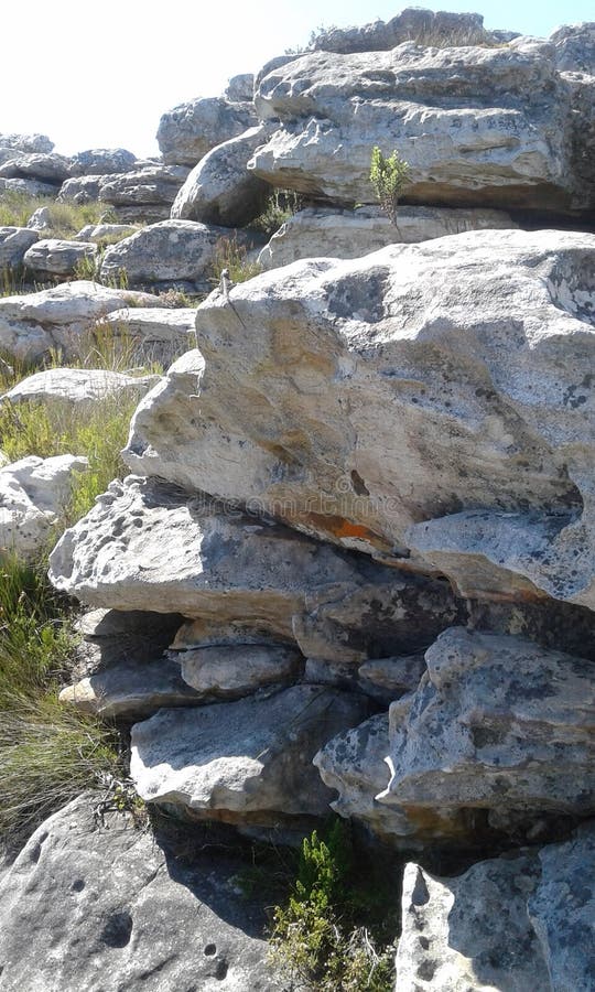 Rocks in Bright Daylight Sun Stock Image - Image of plant, ridge: 206412045