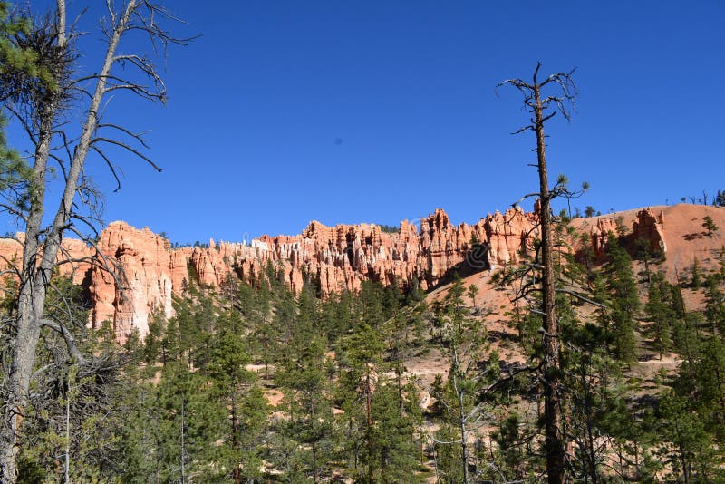 The Rocks of Bryce Canyon Utah Stock Image - Image of cliff, rocks ...