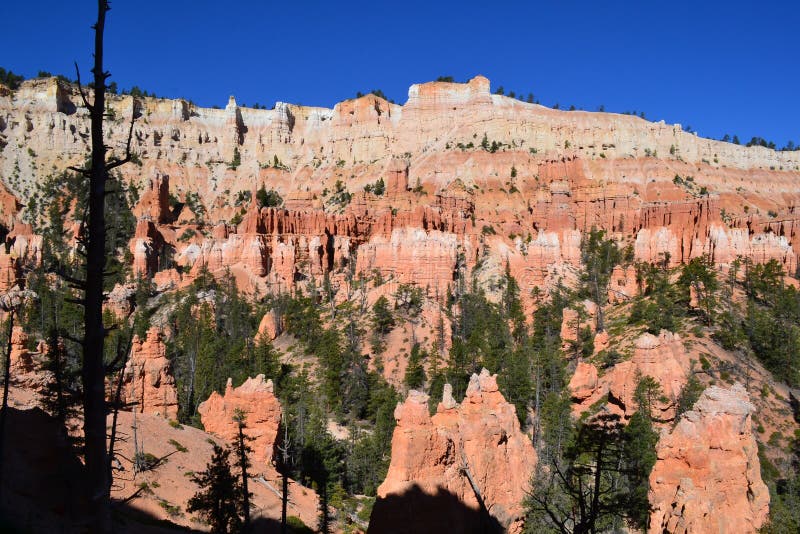 The Rocks of Bryce Canyon Utah Stock Photo - Image of geology, tree ...