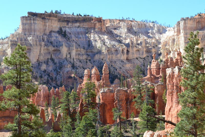 The Rocks of Bryce Canyon Utah Stock Photo - Image of arch, formation ...